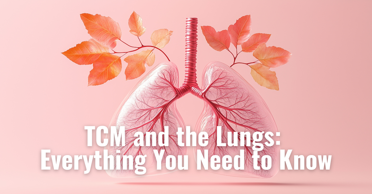 TCM and the Lungs: Everything You Need to Know – Xin Le TCM